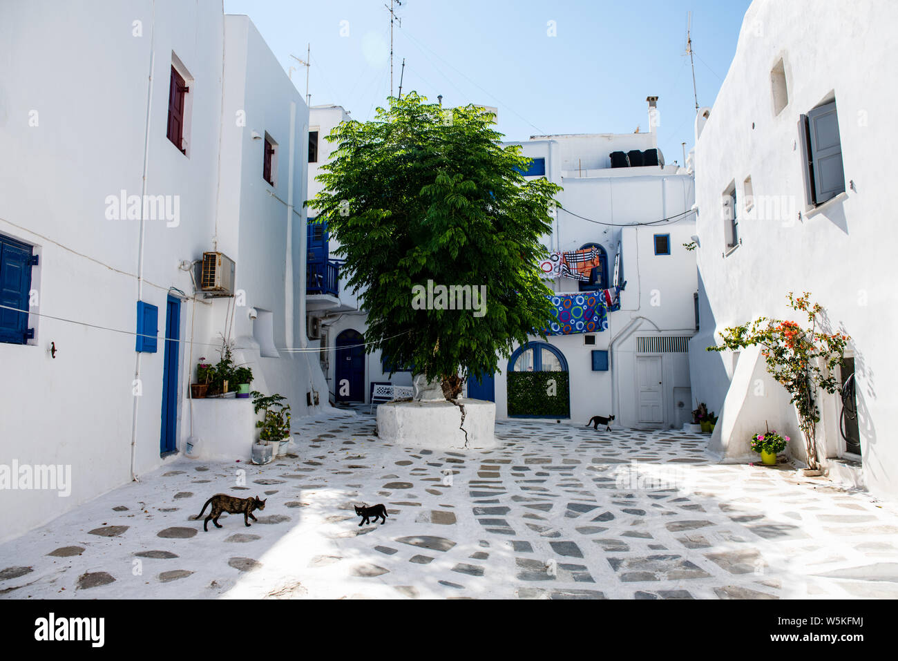 Street Scenes in Mykonos, Greece Stock Photo - Alamy