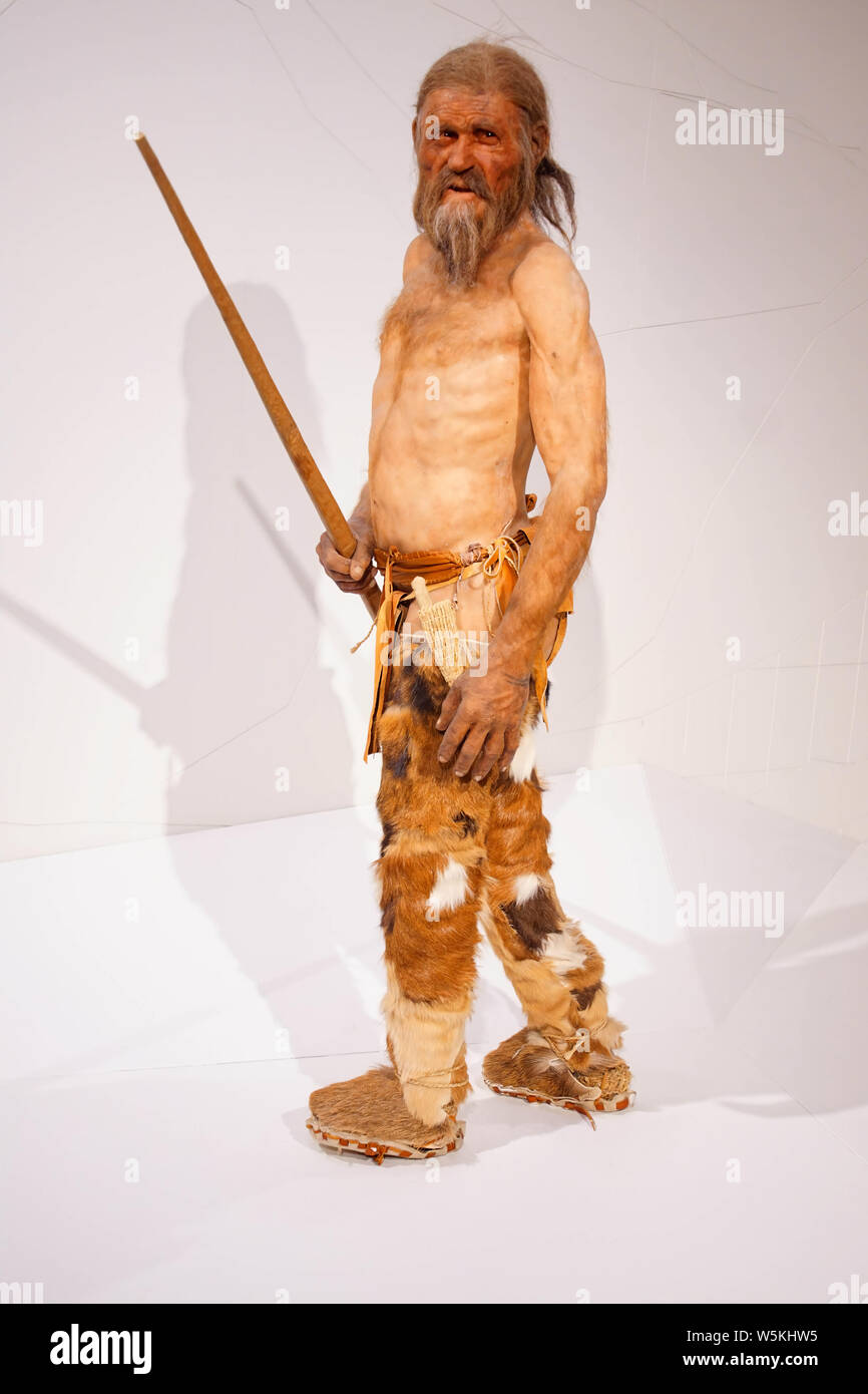 Old reconstruction of neandertal hi-res stock photography and images ...