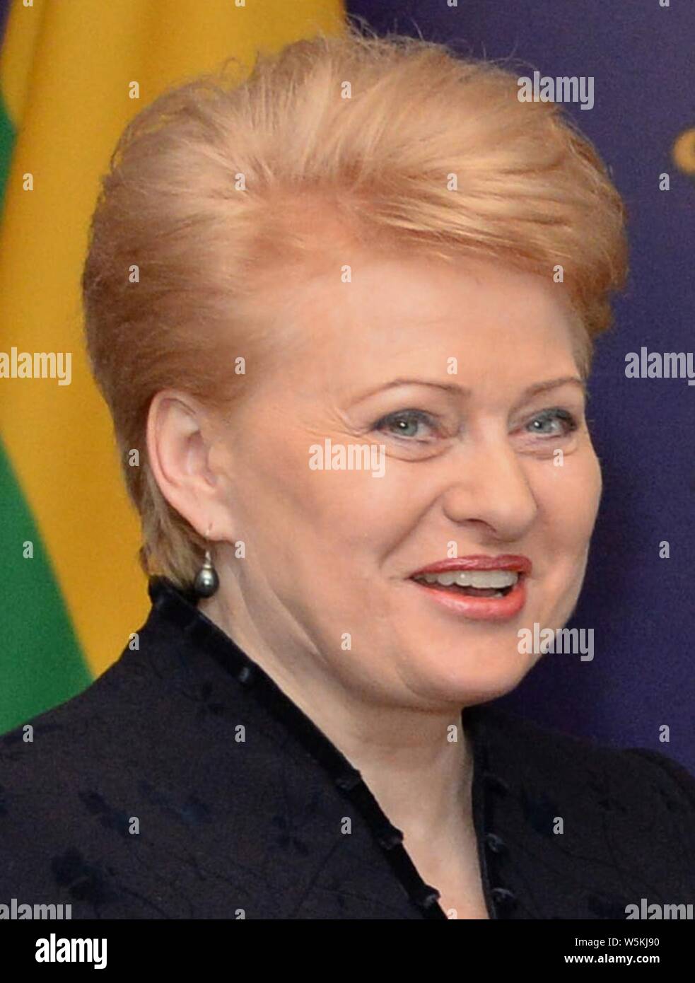 Dalia grybauskaite 2013 hi-res stock photography and images - Alamy