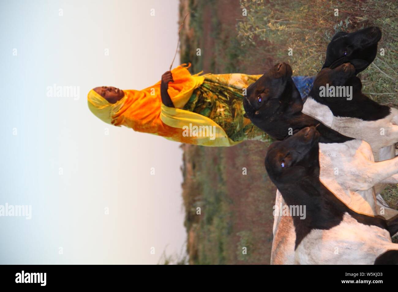 Hared hi-res stock photography and images - Alamy