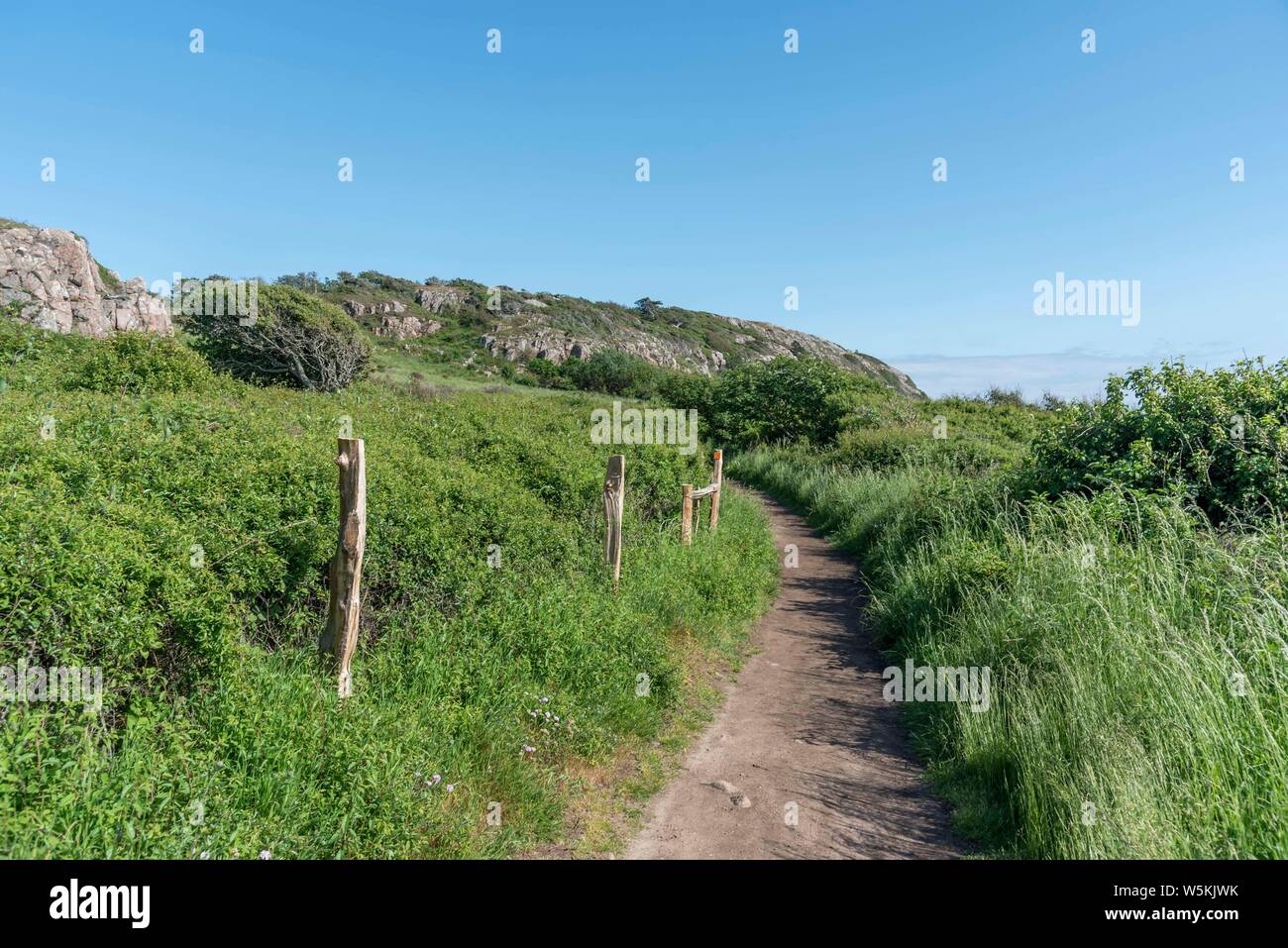 Path at Kullaberg nature reserve in Sweden Stock Photo - Alamy