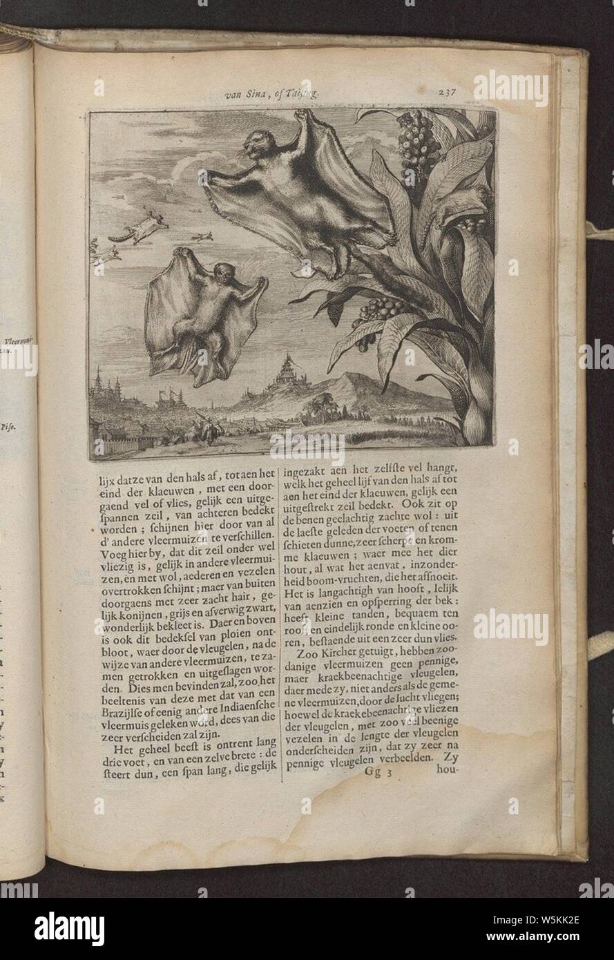 Dapper - 1670 - Gedenkwaerdig bedryf - UB Radboud Uni Nijmegen ...