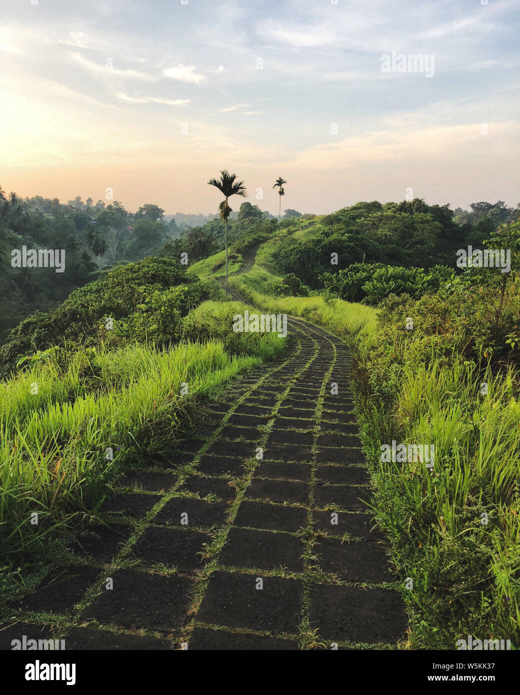 Campuhan Ridge Walk way, Scenic Green Valley in Ubud, Bali. Nobody in ...