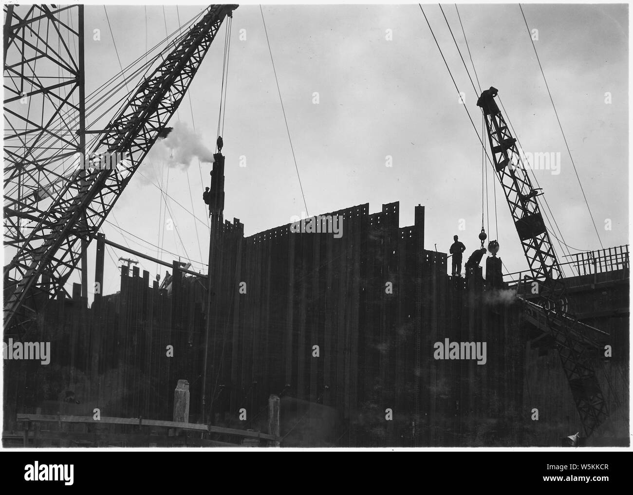 Construction of cofferdam cells. Steam pile drivers putting down steel ...