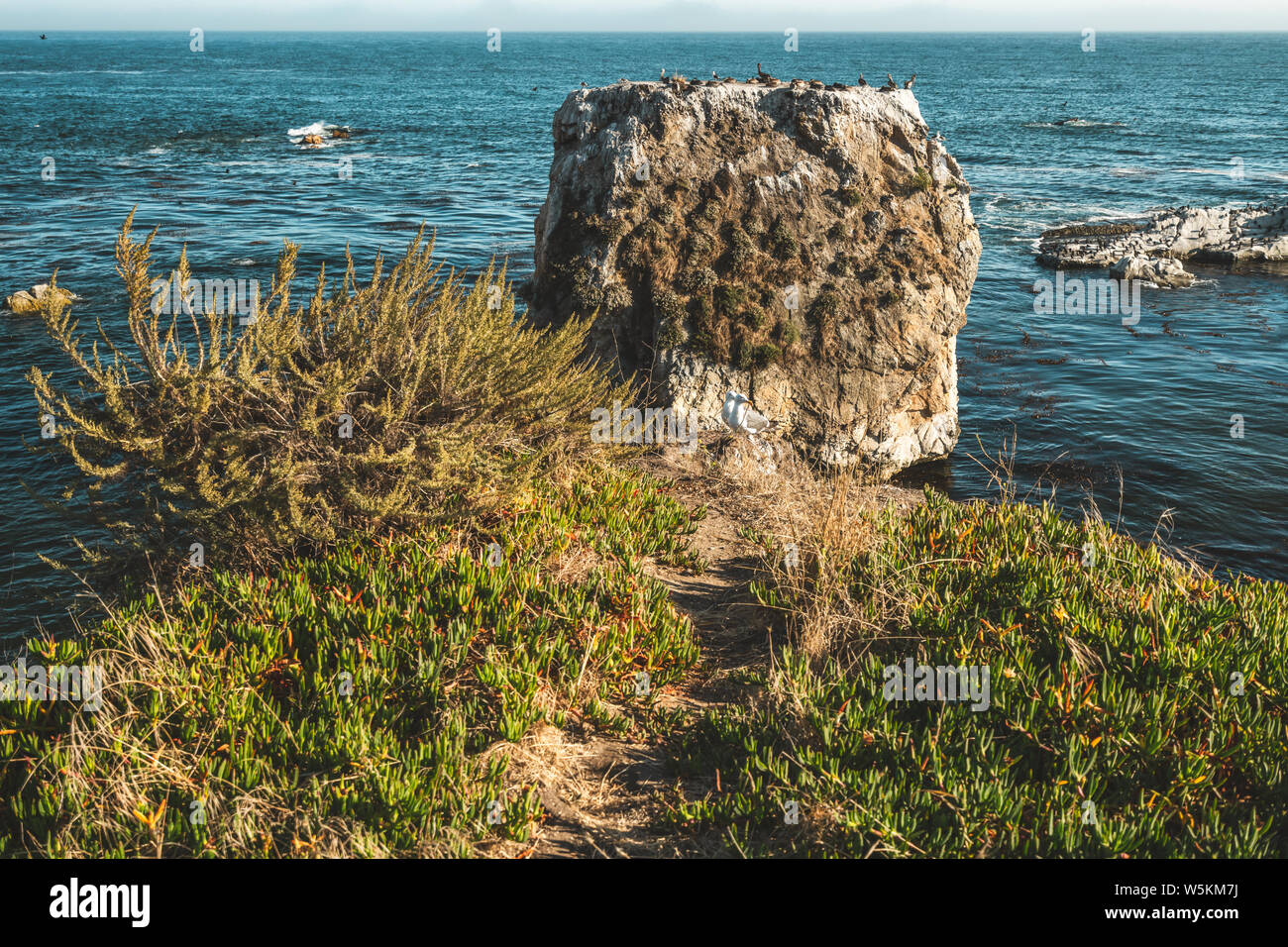 Margo dodd park pismo beach hi-res stock photography and images - Alamy