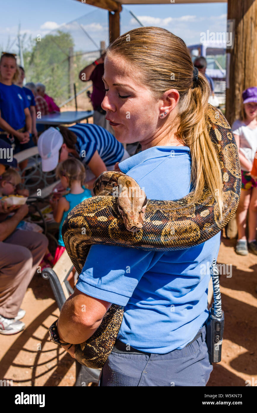 Snake show hi-res stock photography and images - Alamy