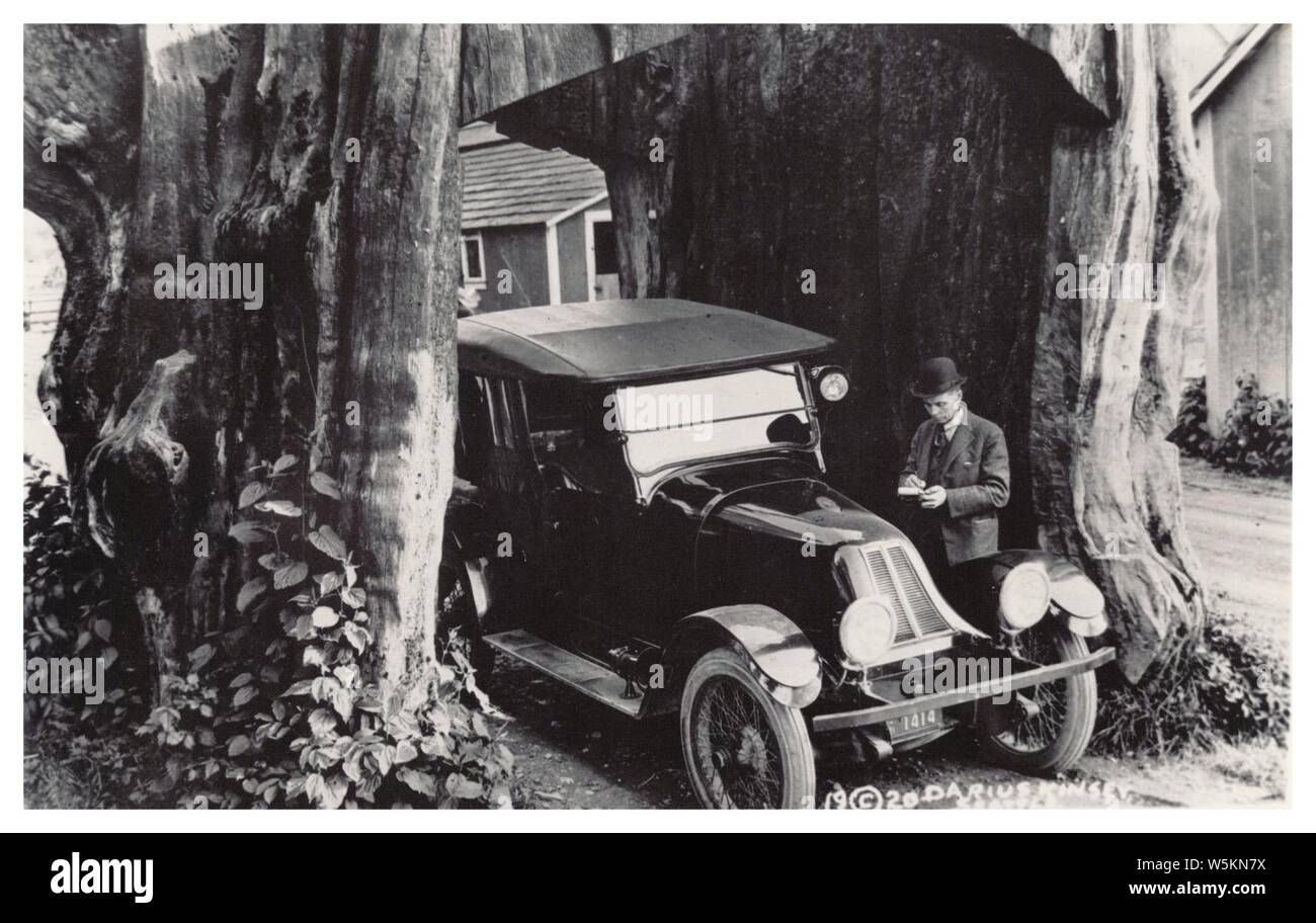 Darius Kinsey High Resolution Stock Photography and Images - Alamy