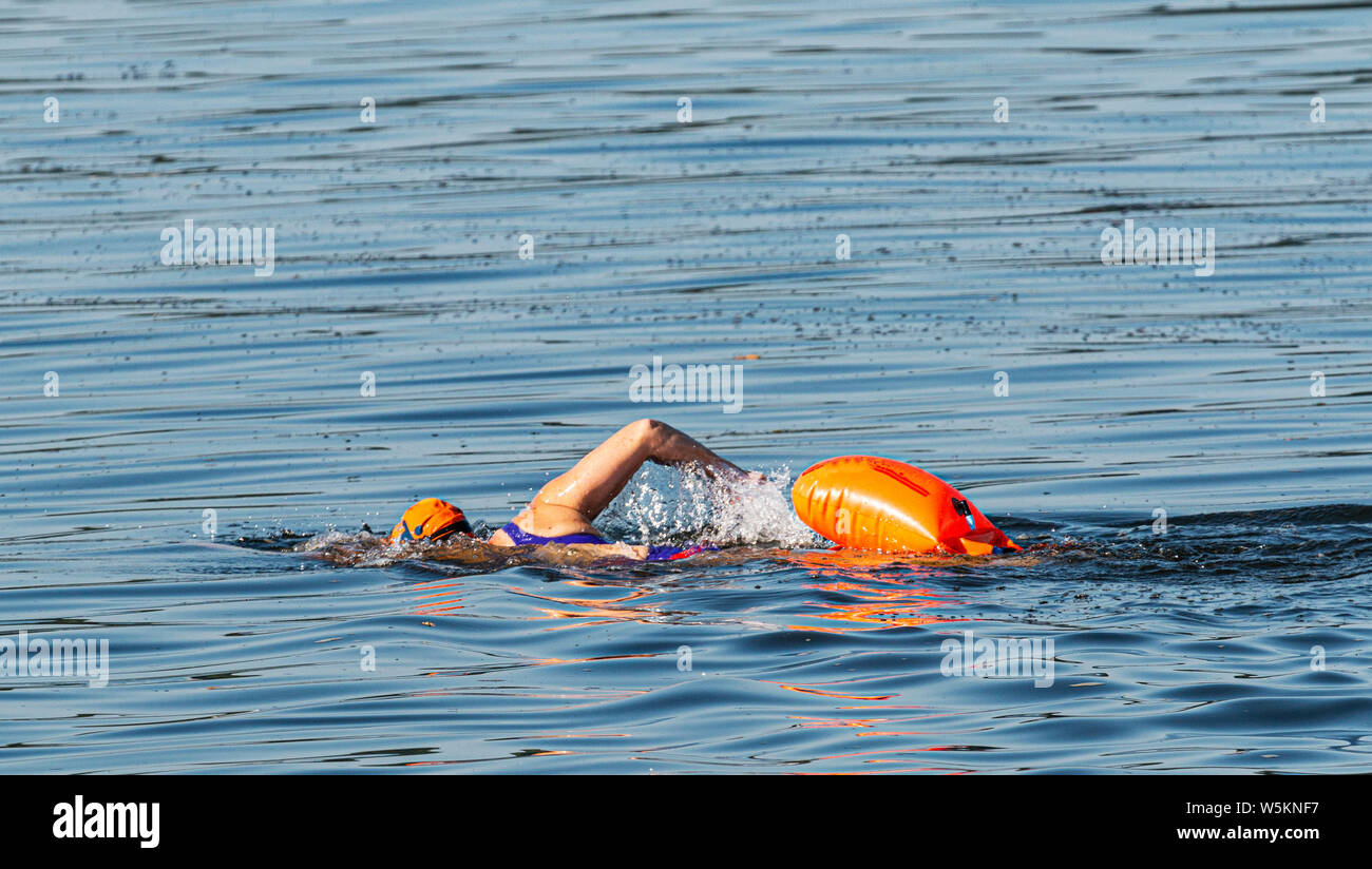 A female triathlete swimming in a clam blue bay alone with an orange ...