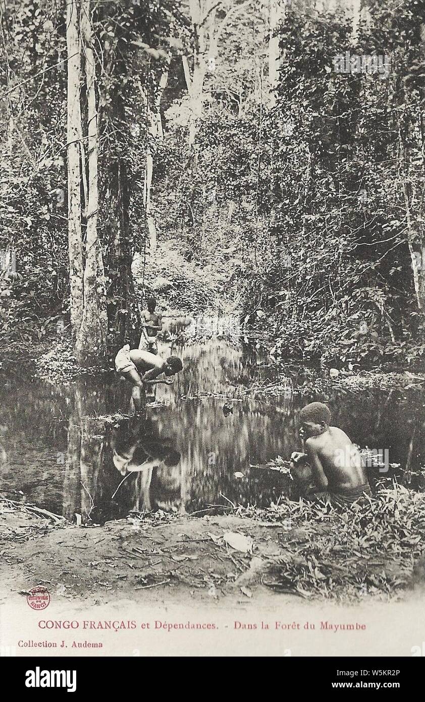 Dans la forêt du Mayombe-Congo Français et Dépendances (1 Stock Photo ...