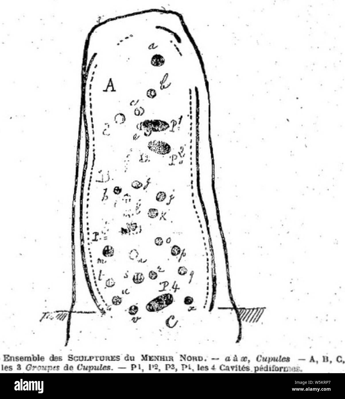 Cupules Cut Out Stock Images & Pictures - Alamy