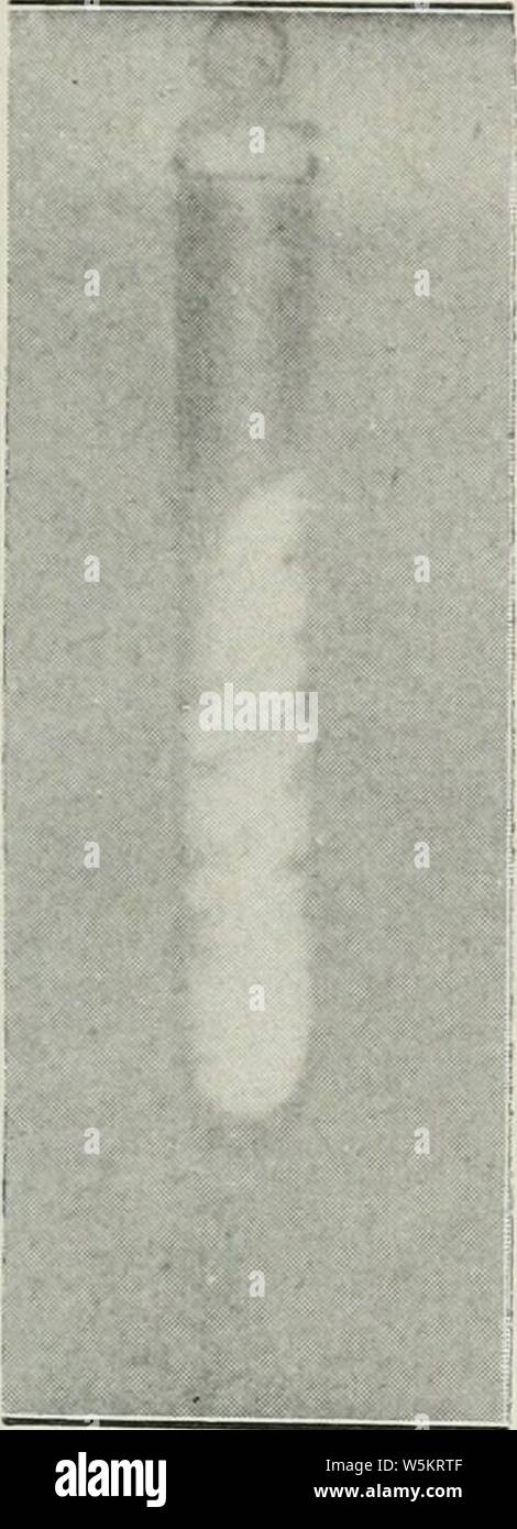 Curie - Traité de radioactivité, 1910, tome 2 page 0563 pl VII A crop ...
