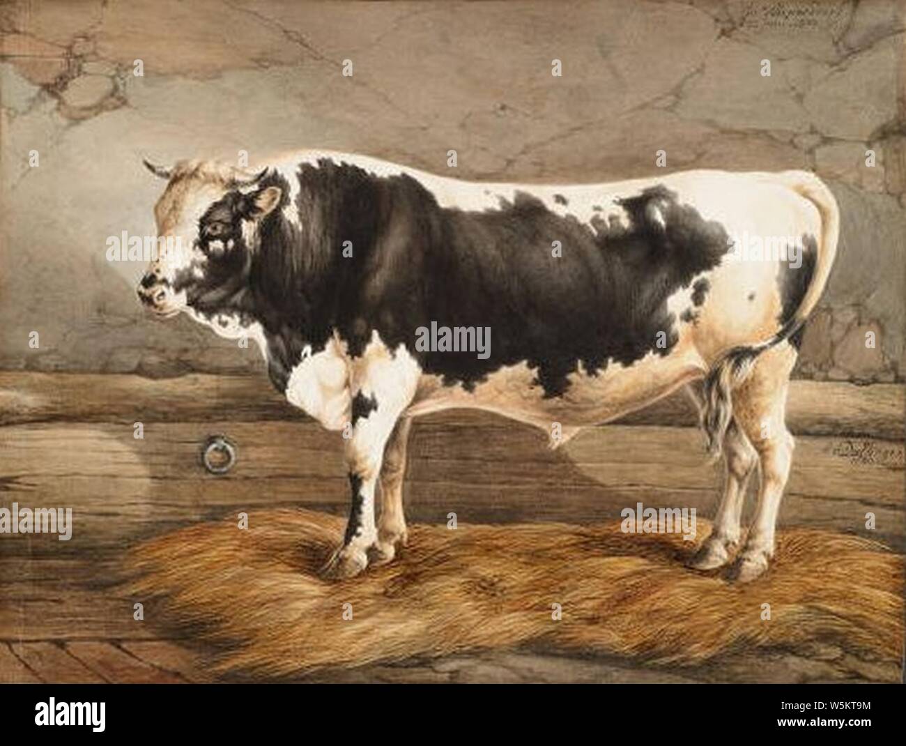 Johann dallinger von dalling hi-res stock photography and images - Alamy