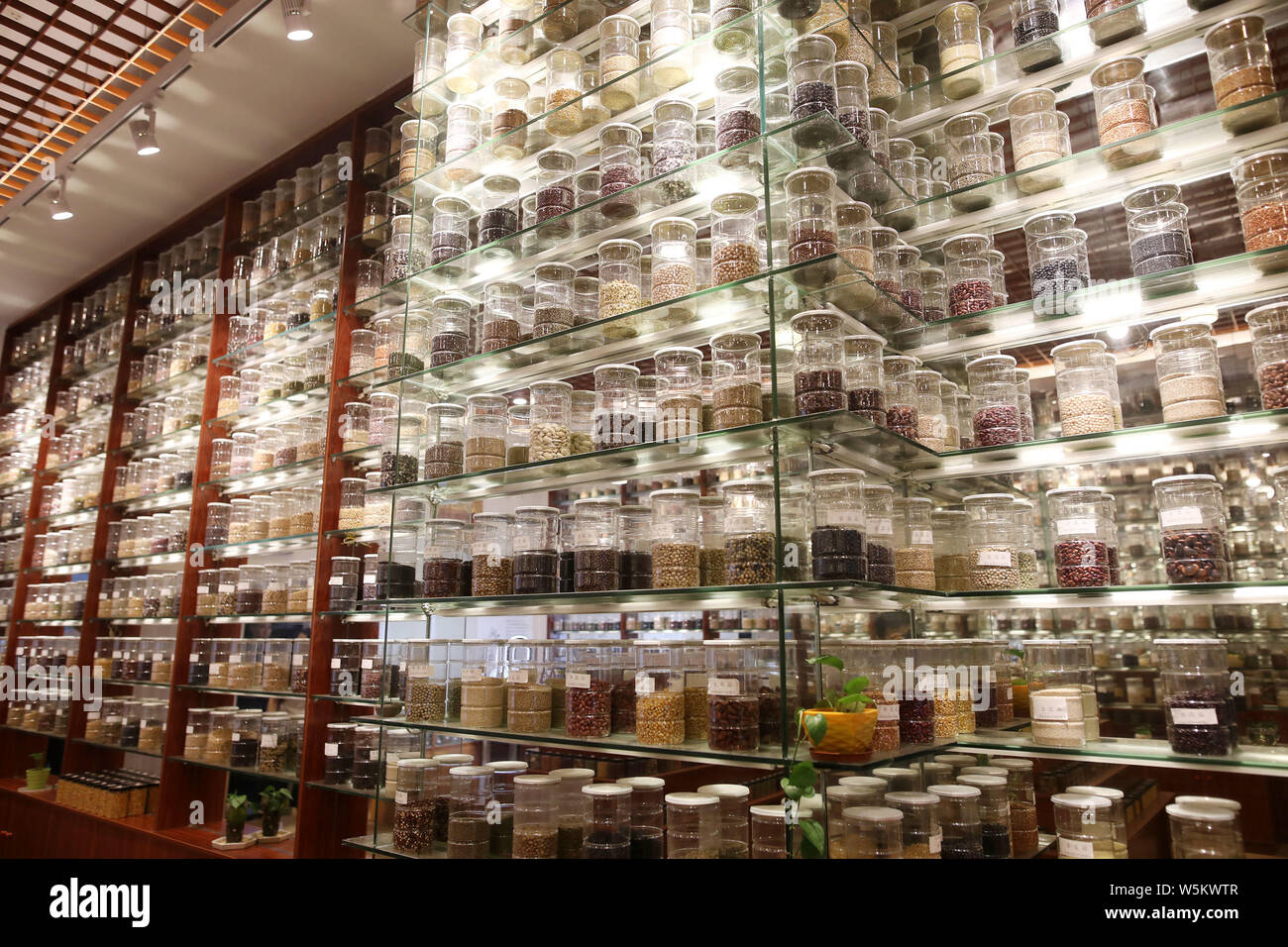 316 various kinds of seeds are displayed at the Foshan Seed Museum in ...