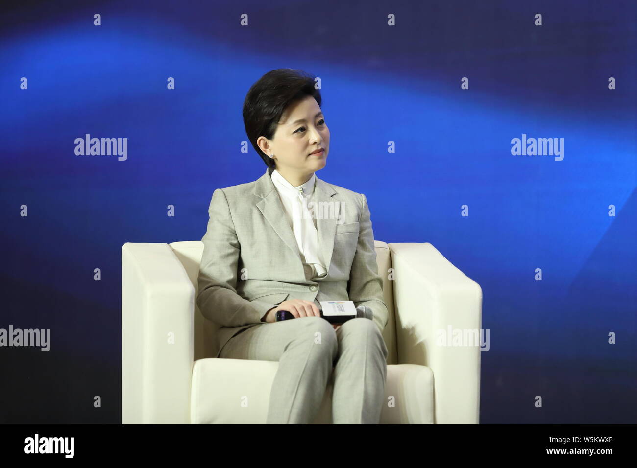 Chinese businesswoman and TV hostess Yang Lan hosts the Network Film ...