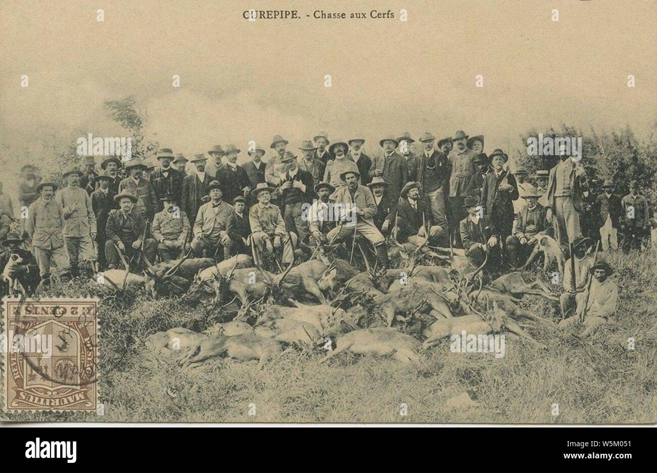 Curepipe cerfs hi-res stock photography and images - Alamy