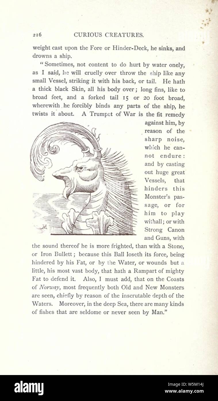 Curious creatures in zoology hi-res stock photography and images - Alamy