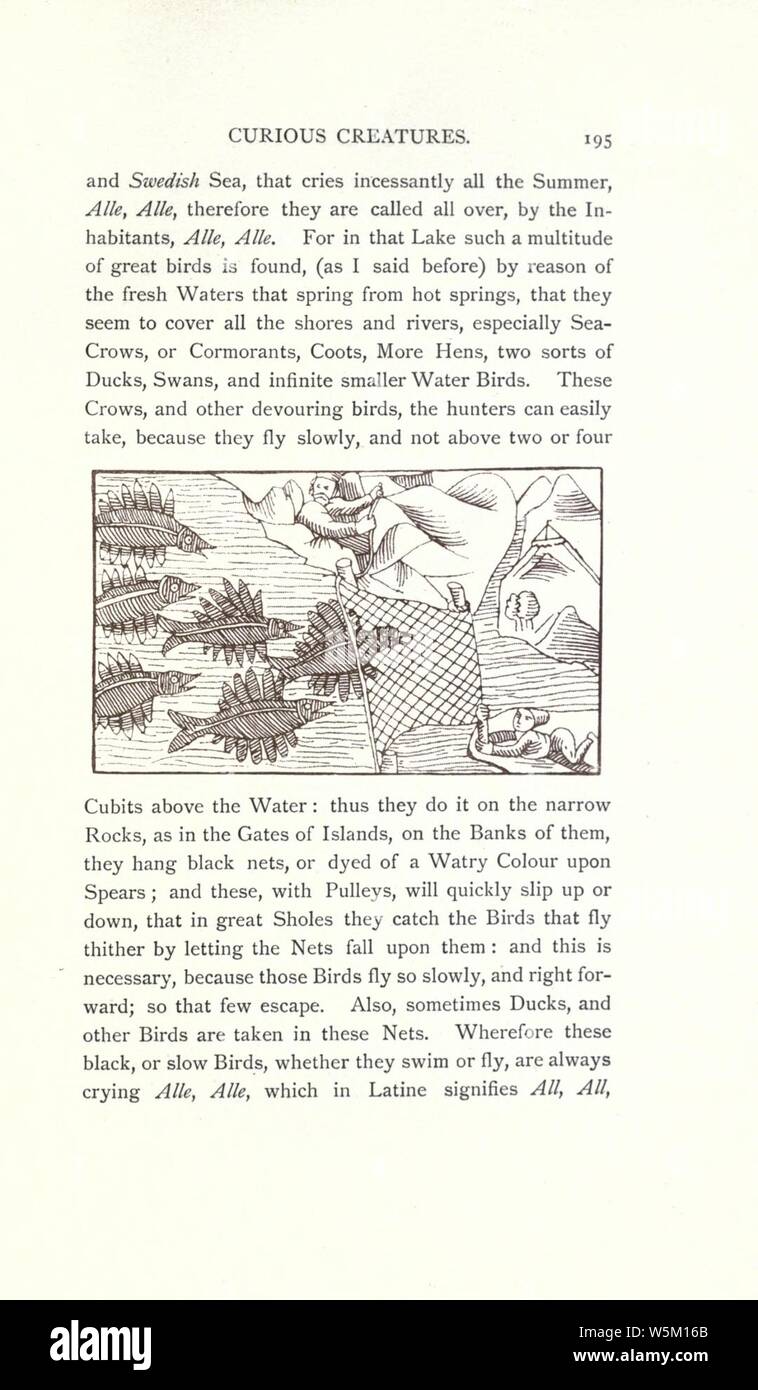 Curious creatures in zoology (Page 195 Stock Photo - Alamy