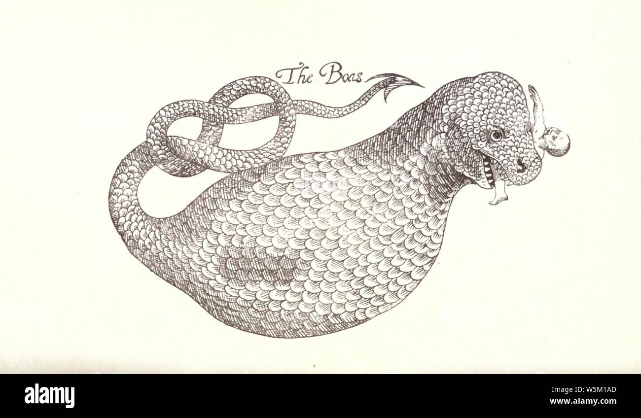 Curious creatures in zoology (Page 290 Stock Photo - Alamy