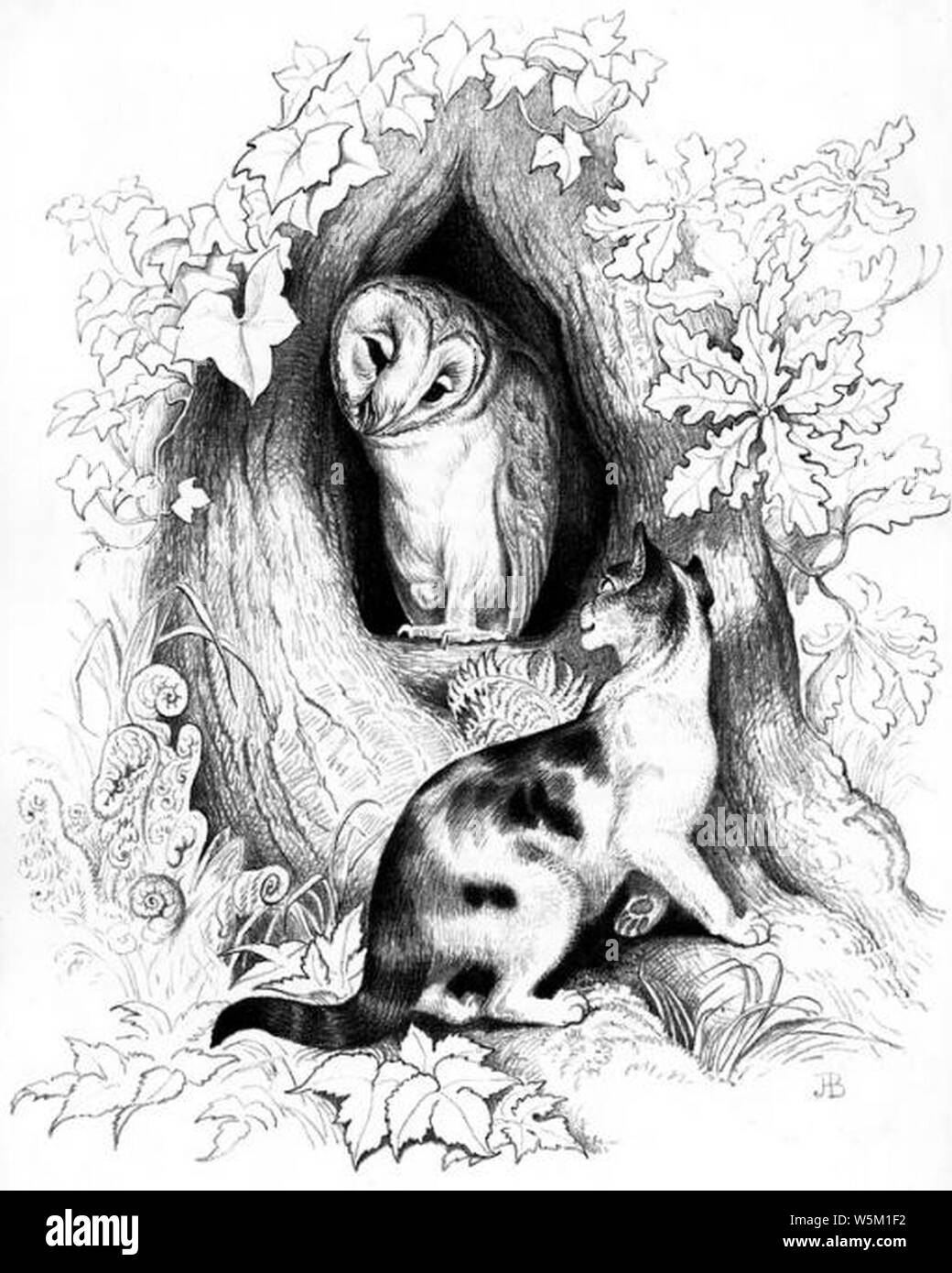 Curious picture Black and White Stock Photos & Images - Alamy