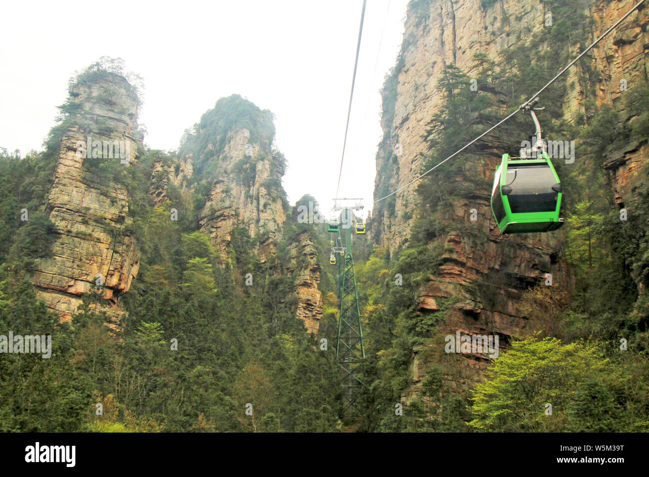 Landscape of the Zhangjiajie National Forest Park, a real Pandora world ...