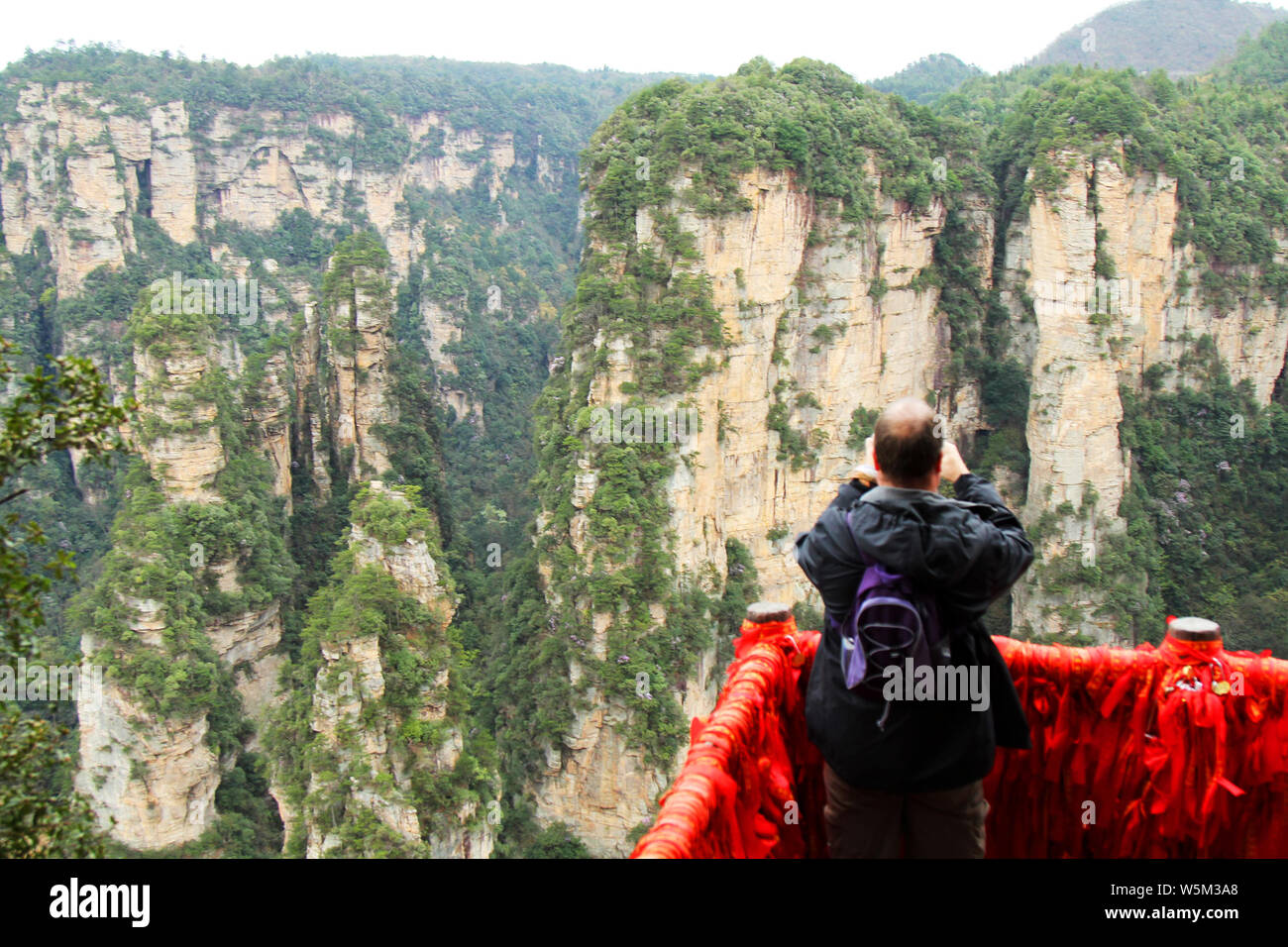 Landscape of the Zhangjiajie National Forest Park, a real Pandora world ...