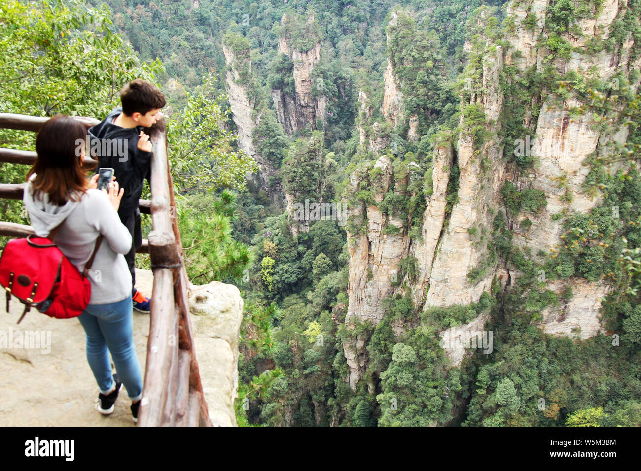 Landscape of the Zhangjiajie National Forest Park, a real Pandora world ...
