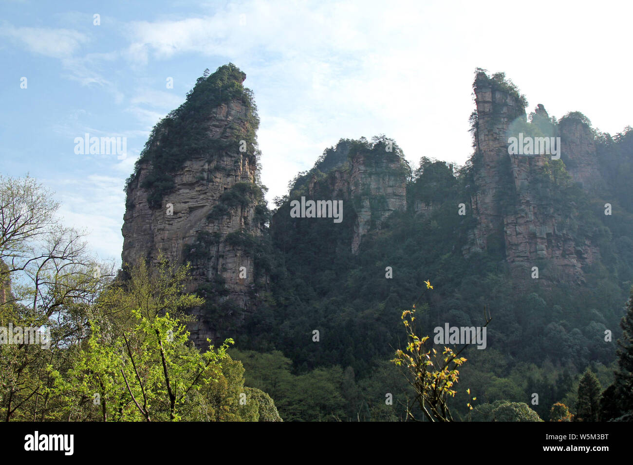 Landscape of the Zhangjiajie National Forest Park, a real Pandora world ...