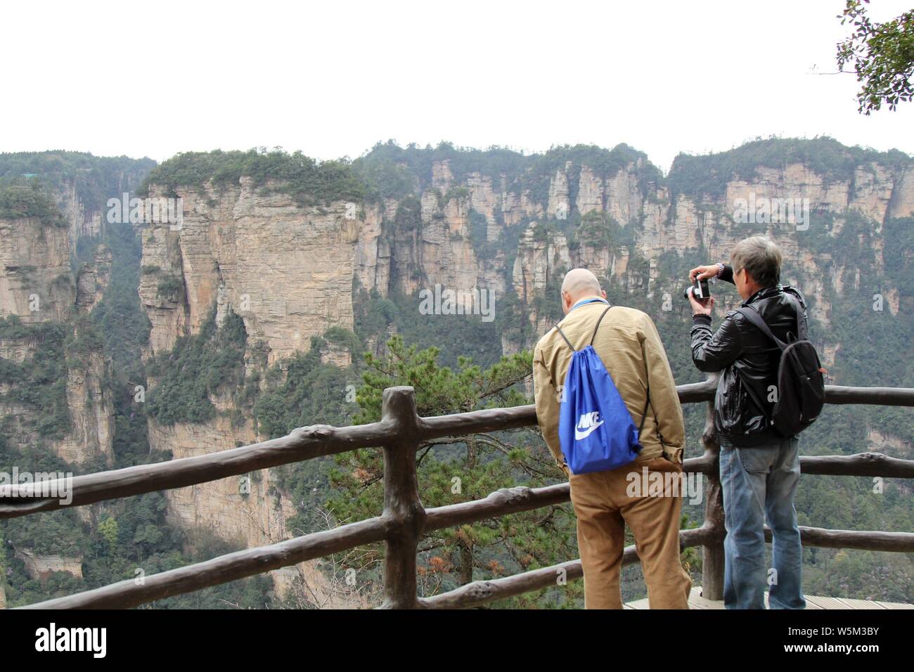 Landscape of the Zhangjiajie National Forest Park, a real Pandora world ...