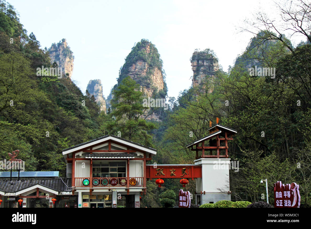 Landscape of the Zhangjiajie National Forest Park, a real Pandora world ...