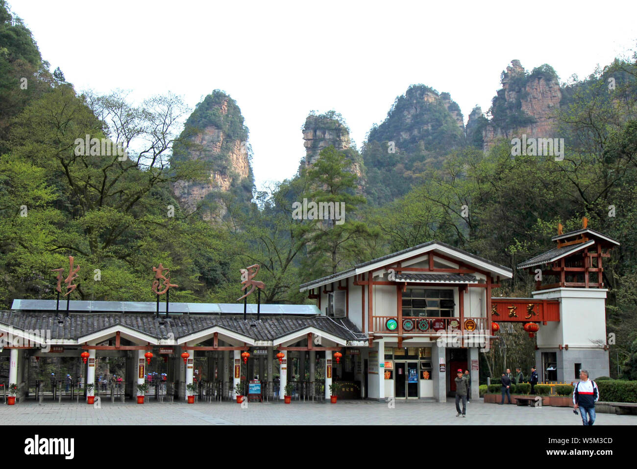Landscape of the Zhangjiajie National Forest Park, a real Pandora world ...