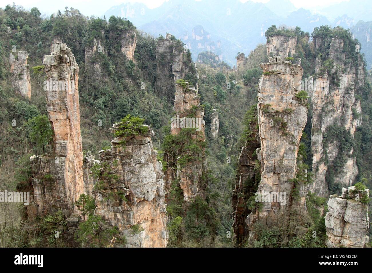 Landscape of the Zhangjiajie National Forest Park, a real Pandora world ...
