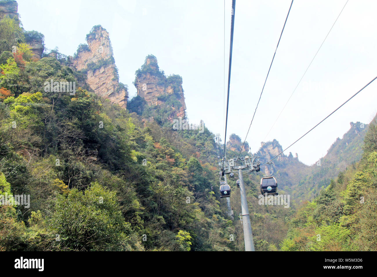 Landscape of the Zhangjiajie National Forest Park, a real Pandora world ...
