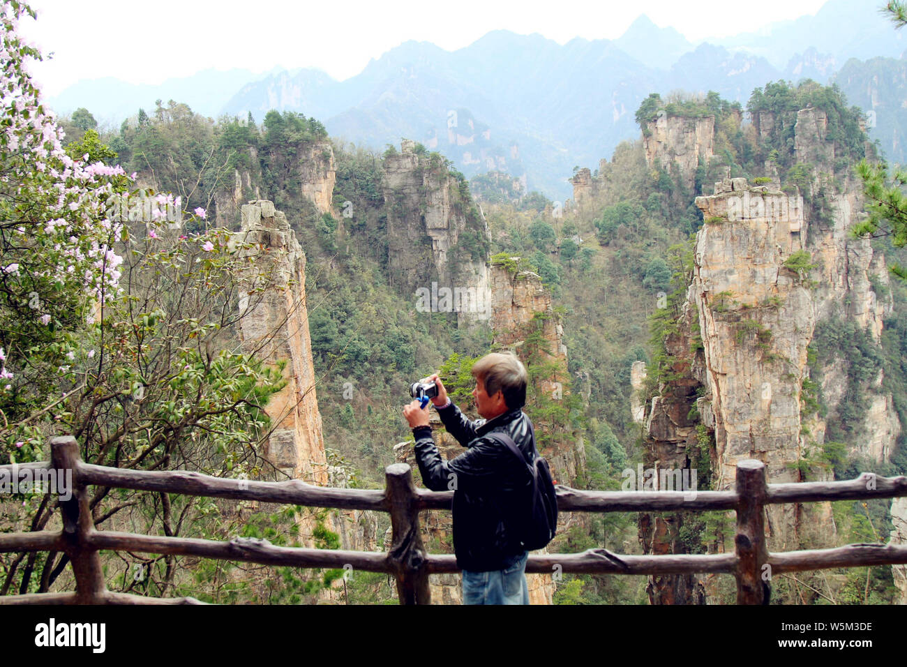 Landscape of the Zhangjiajie National Forest Park, a real Pandora world ...