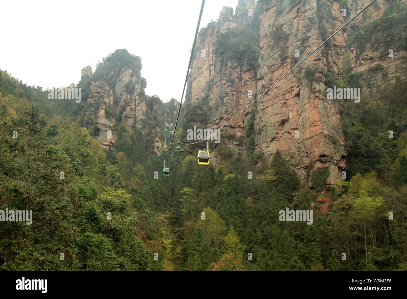 Landscape of the Zhangjiajie National Forest Park, a real Pandora world ...