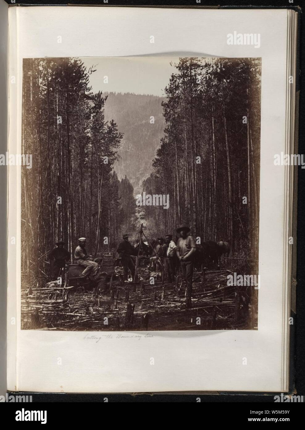 Cutting the boundary line Stock Photo - Alamy