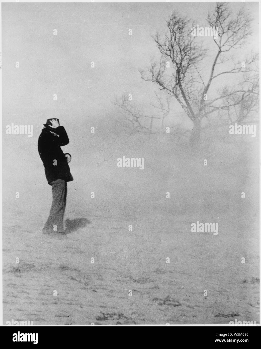 Dust Storms; In 1934 & 1936 drought and dust storms ravaged the great ...