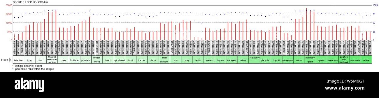 Multiple levels Cut Out Stock Images & Pictures - Alamy