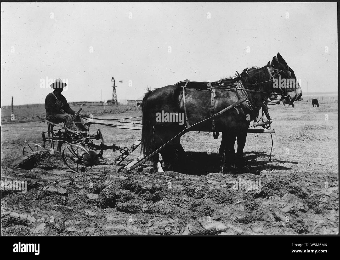 Dutch flats; plowing.; Scope and content: Photograph from Volume One of ...
