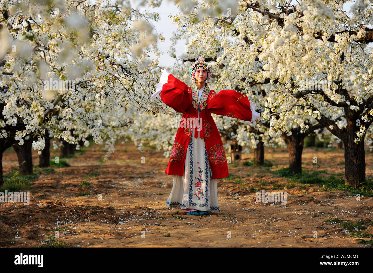 Chinese Maoqiang Opera inheritor An Fengxia, dressed in traditional ...