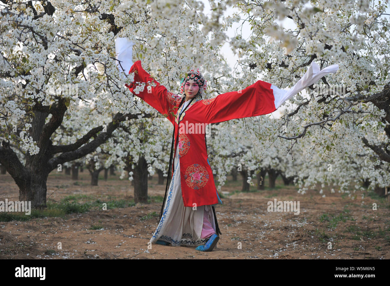 Chinese Maoqiang Opera inheritor An Fengxia, dressed in traditional ...