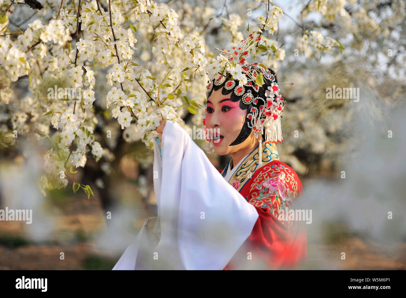 Chinese Maoqiang Opera inheritor An Fengxia, dressed in traditional ...