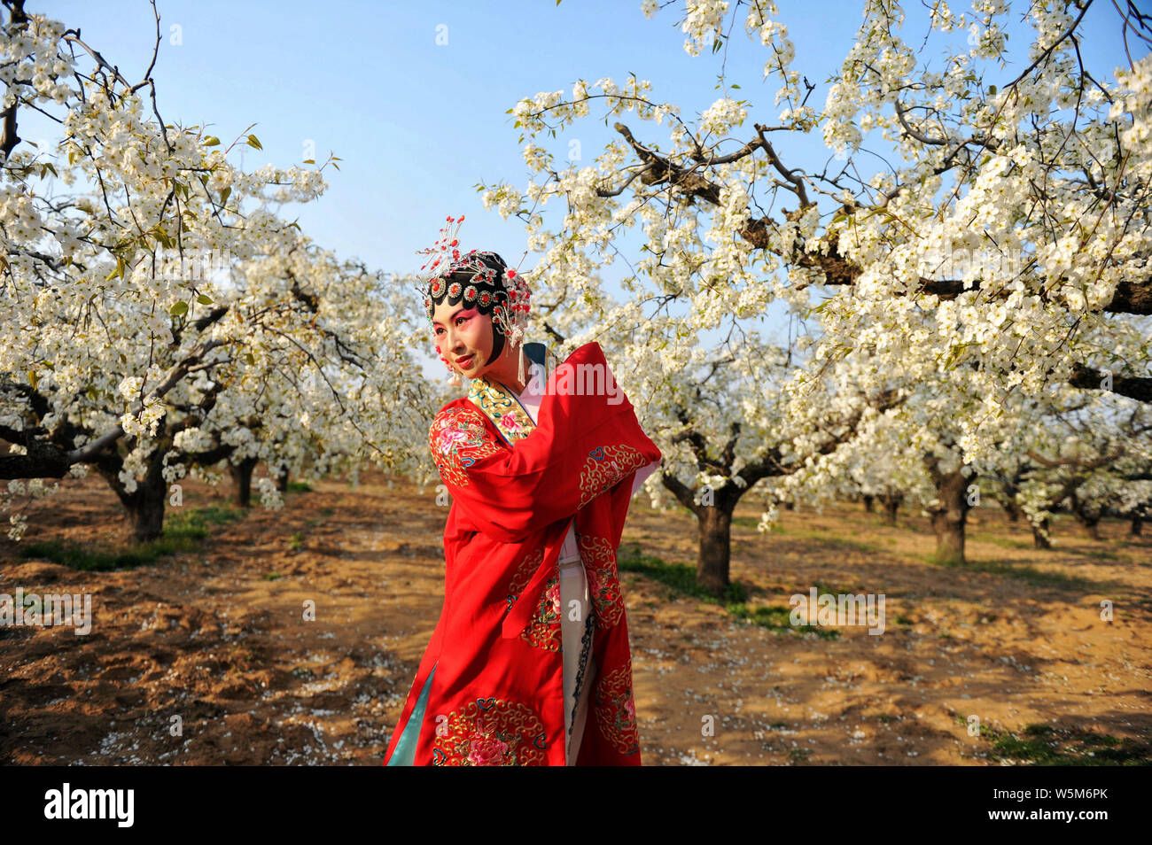 Chinese Maoqiang Opera inheritor An Fengxia, dressed in traditional ...
