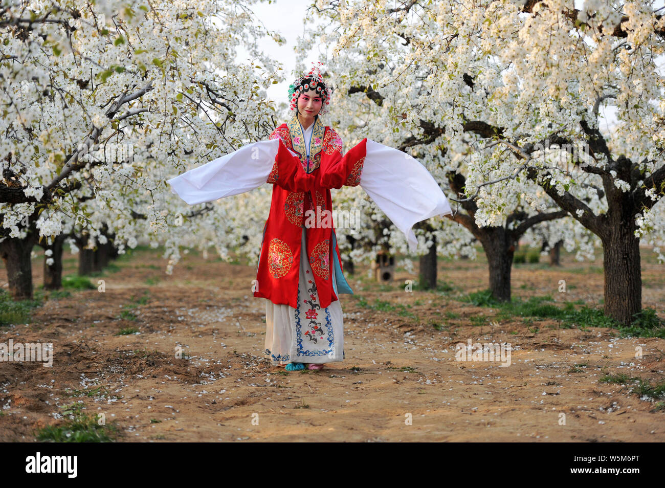 Chinese Maoqiang Opera inheritor An Fengxia, dressed in traditional ...