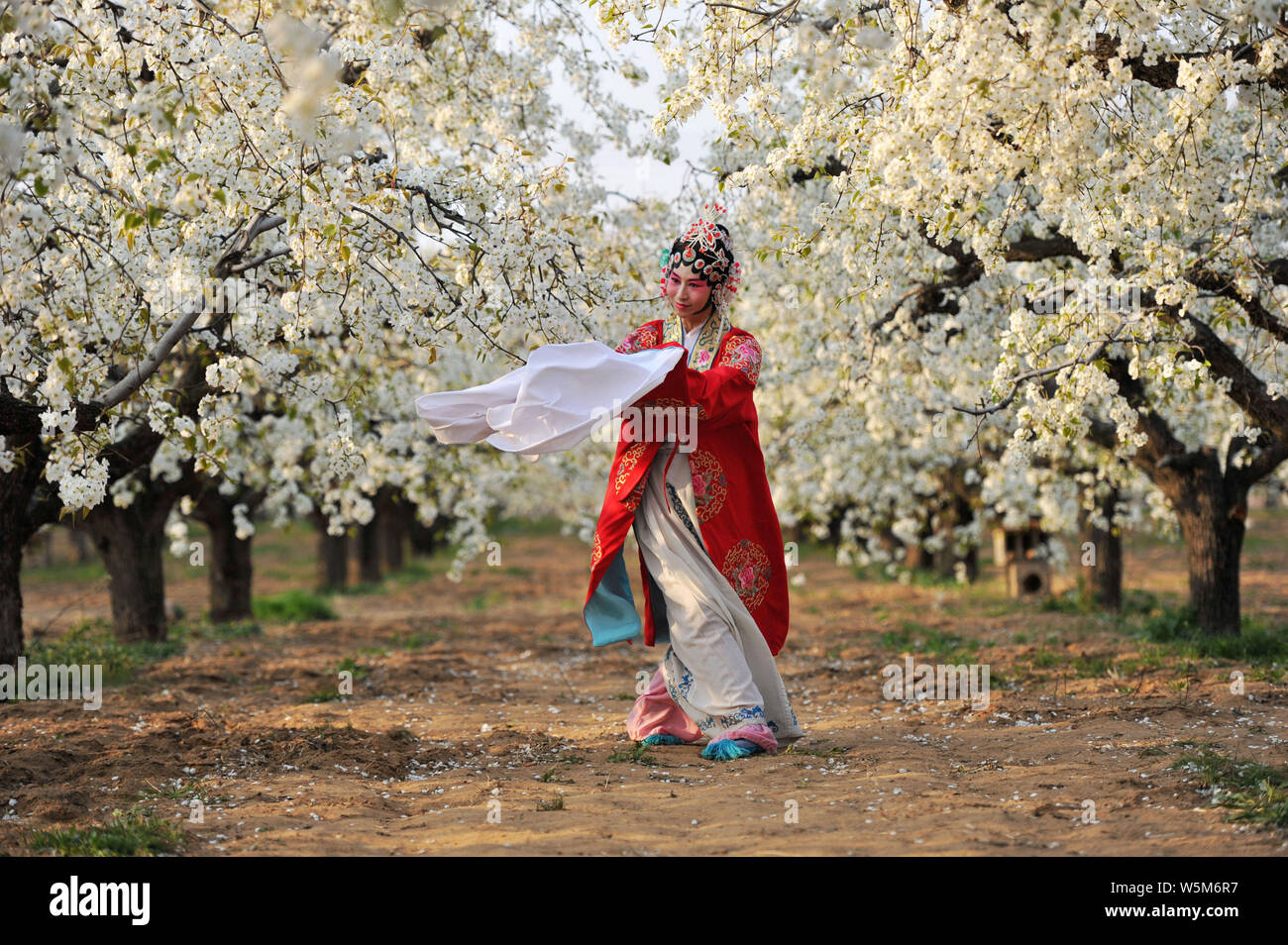 Chinese Maoqiang Opera inheritor An Fengxia, dressed in traditional ...