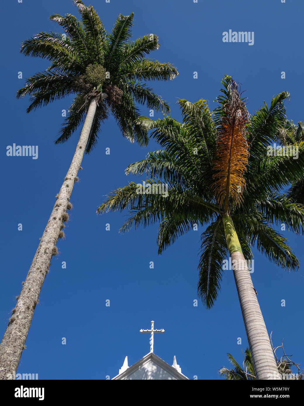 Grace of the cross hi-res stock photography and images - Alamy