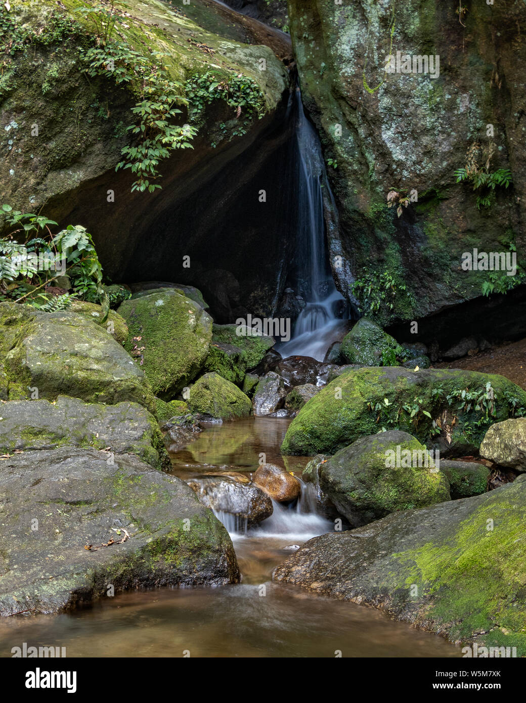 Waterfall in Rio de Janeiro Stock Photo - Alamy