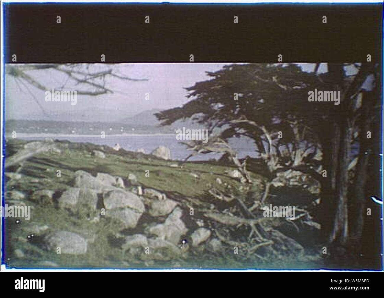 Cypress trees and seacoast in the Carmel California area Stock Photo ...