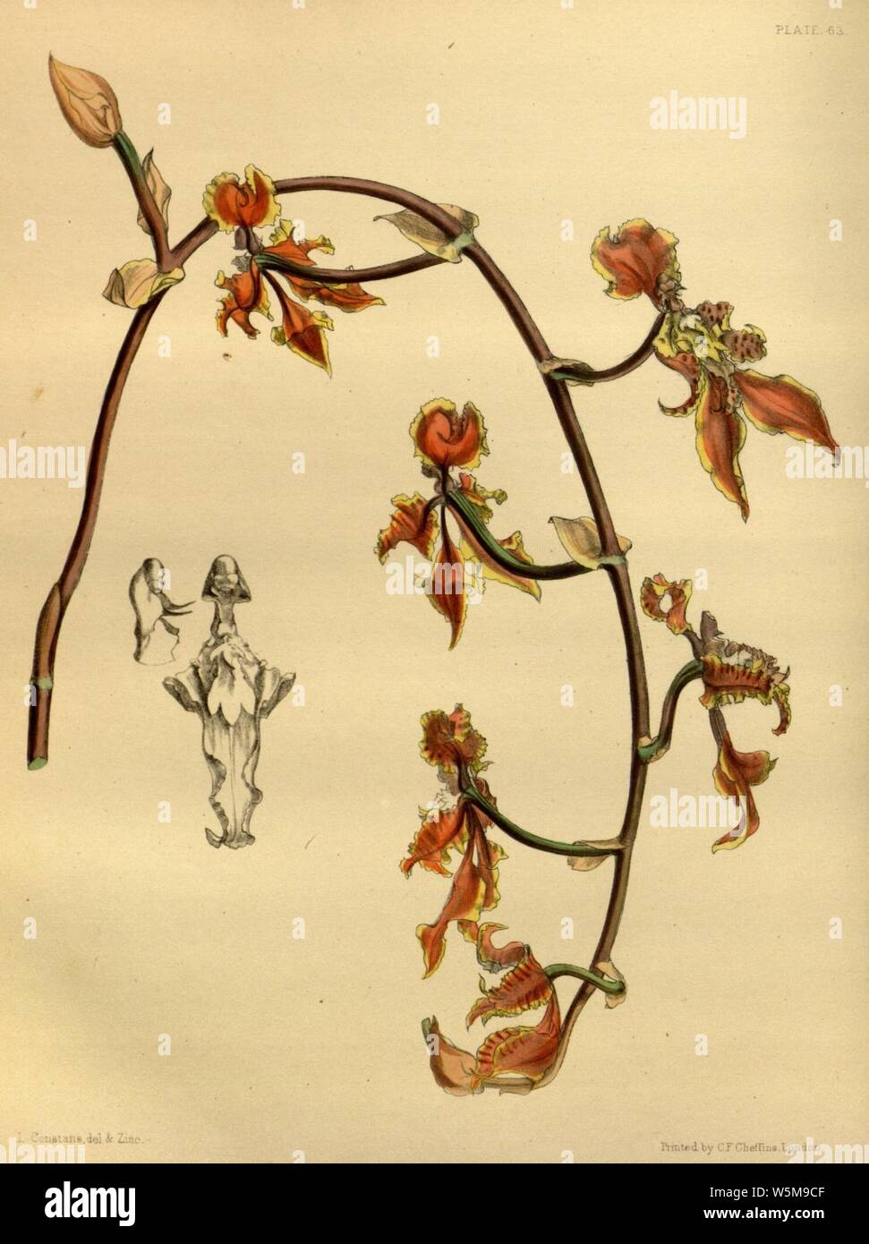 Trilingue hi-res stock photography and images - Alamy