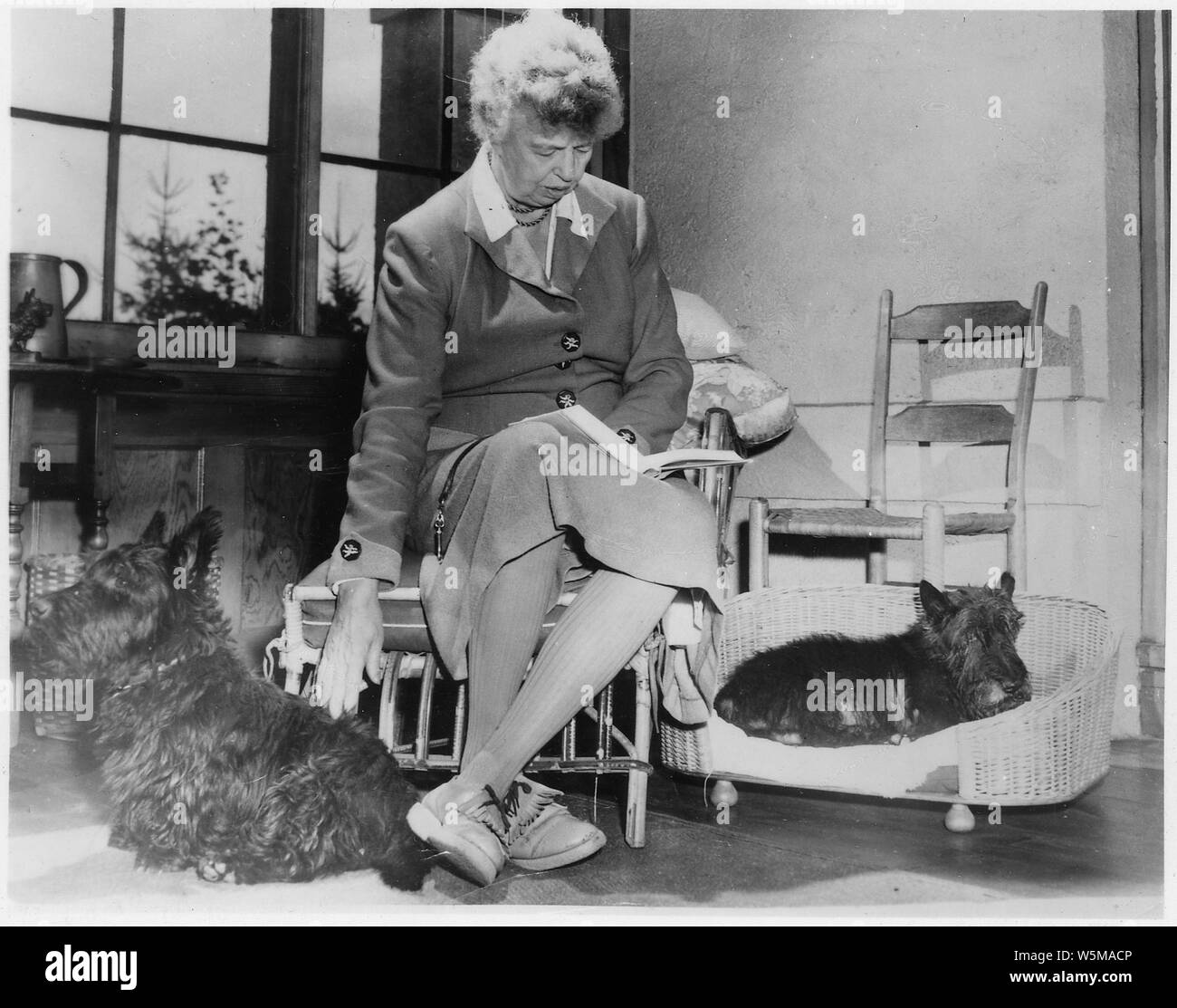 Eleanor Roosevelt and Fala at Val,Kill in Hyde Park, New York Stock ...