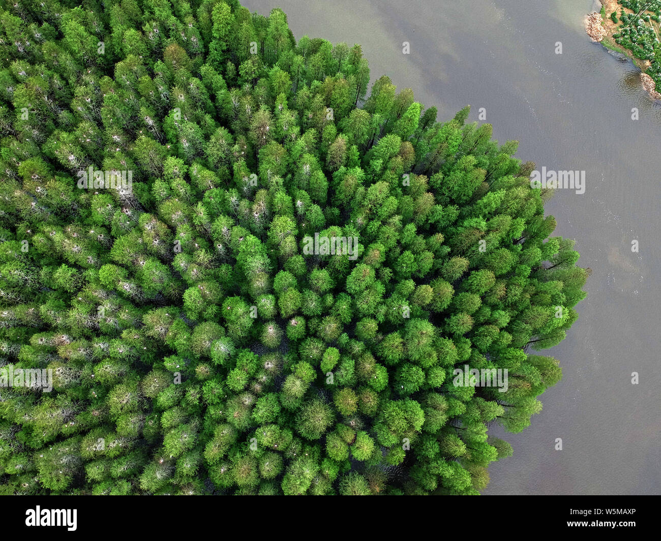 Xiantao High Resolution Stock Photography and Images - Alamy
